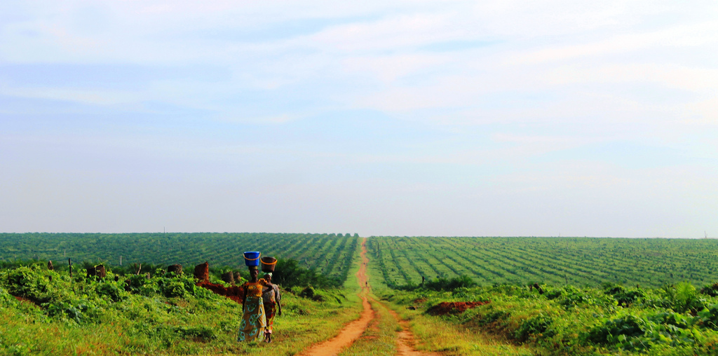 Volta Red – Official website for volta red limited